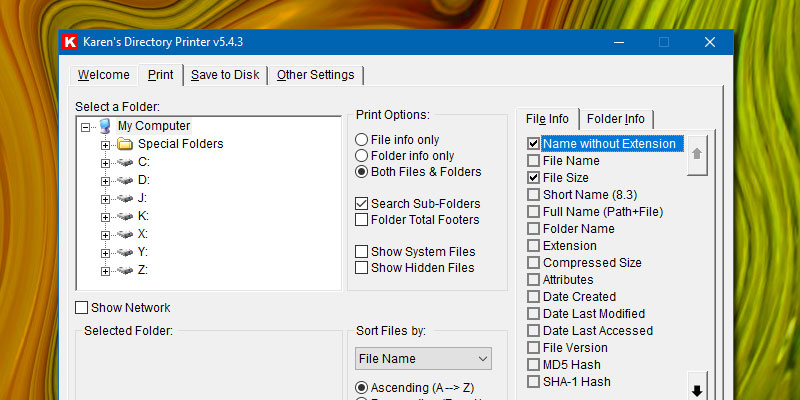 Disso Dio Please Check Running Directory Is Read Only